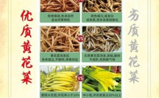 金针菜的功效与作用禁忌_什么人不能吃