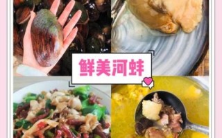 高压锅炖河蚌多久才熟_河蚌去腥技巧