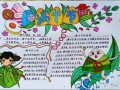 端午节手抄报内容写什么_端午节手抄报怎么画