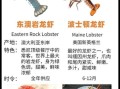 大龙虾品种有哪些_如何区分澳洲龙虾和波士顿龙虾