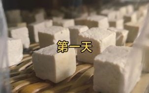 毛豆腐怎么做_毛豆腐需要发酵多久