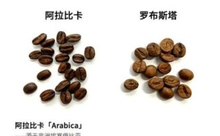 咖啡豆种类有哪些_阿拉比卡和罗布斯塔区别