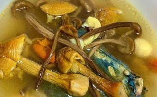 茶树菇鸡汤怎么煲_茶树菇鸡汤做法大全