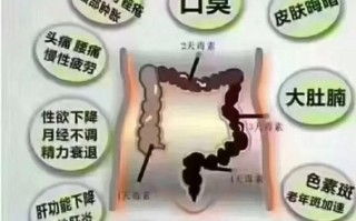 酵素减肥原理是什么_酵素减肥真的有用吗