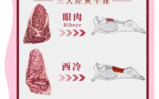 西冷牛排和眼肉牛排的区别_哪个更好吃