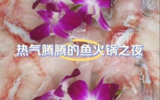 砂锅鱼片煲怎么做_鱼片不碎的技巧