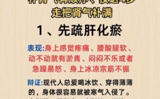 补肾气最好的方法_肾气不足怎么调理
