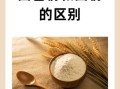 面包粉和面粉有什么区别_哪个更适合做面包