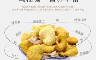 黄丝菌多少钱一斤_黄丝菌价格行情