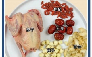 鸽子汤怎么煲才营养_鸽子汤煲多久最好