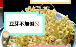 豆芽不能和什么一起吃_豆芽相克食物有哪些