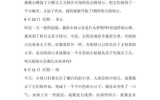 豆芽的生长过程_观察日记怎么写400字