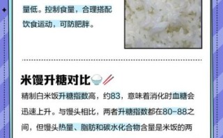 减肥期间吃米饭还是馒头_哪个更不容易胖