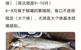 翘嘴鱼怎么钓_翘嘴鱼用什么饵最好