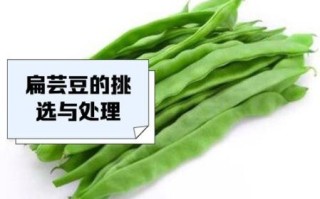 扁芸豆怎么种_扁芸豆什么时候采收