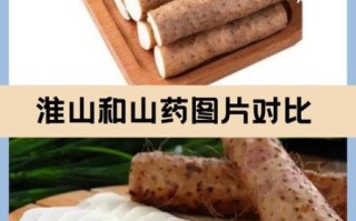 淮山和山药哪个适合煲汤_煲汤用淮山还是山药