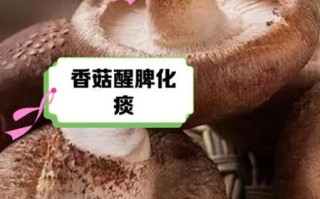 香菇不焯水有毒吗_可以吃吗 香菇不焯水有毒吗_可以吃吗