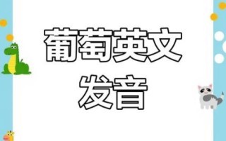 what_are_grapes_in_english_how_to_pronounce_grapes