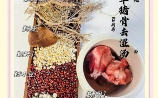 鸡骨草猪骨汤的功效与作用_鸡骨草猪骨汤怎么煲