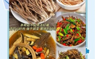 干茶树菇怎么泡发_干茶树菇怎么吃才好吃