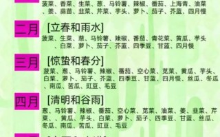什么时候种菜最合适_春夏秋冬种菜时间表