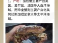 珍宝蟹是不是面包蟹_珍宝蟹和面包蟹的区别