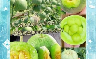 香瓜什么人不能吃_香瓜禁忌人群有哪些