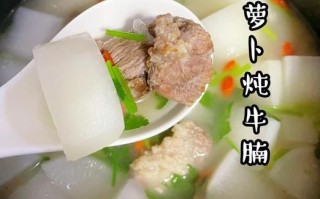 牛腩萝卜怎么炖才烂_牛腩萝卜汤的家常做法