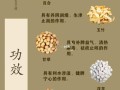 茯苓的功效与作用及食用方法_茯苓怎么吃效果最好