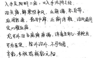 白芷的功效与作用禁忌症_白芷能长期吃吗