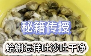 冰冻河蚌肉怎么清洗_河蚌肉去沙技巧