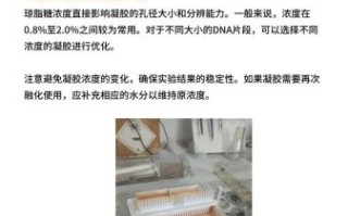 琼脂糖凝胶电泳步骤_琼脂糖凝胶电泳常见问题