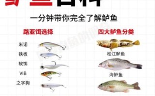 松江鲈鱼是什么鱼_松江鲈鱼图片怎么看真假