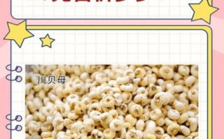 川贝母多少钱一克_川贝母价格为什么差别大