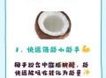 椰子粉的功效与作用_椰子粉的正确用法