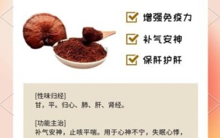 灵芝孢子粉的功效与作用价格多少_多少钱一斤才靠谱