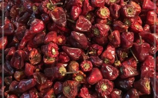 灯笼椒辣不辣_灯笼椒香不香