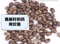 麻子是什么植物的种子_麻子与芝麻区别