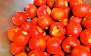 山楂做菜的做法大全_山楂怎么做好吃