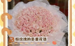 粉色玫瑰花语是什么_如何挑选优质粉色玫瑰