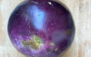 手撕茄子怎么做好吃_家常做法步骤详解