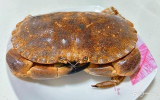 面包蟹多少钱一斤2021_2021年面包蟹价格走势