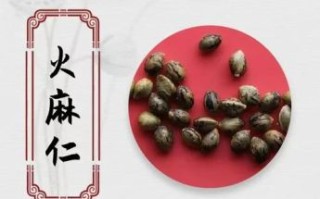 火麻仁的功效与作用_火麻仁的禁忌人群