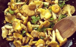 鸡油菌怎么做好吃_鸡油菌的家常做法