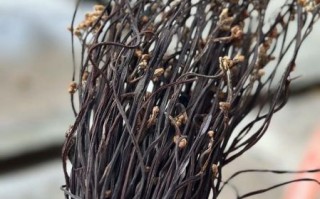 蕨菜干怎么泡发_蕨菜干怎么做好吃图片