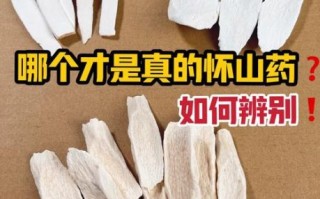 淮山图片_淮山怎么区分真假