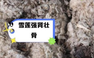 干的雪莲花怎么吃最好_干的雪莲花食用方法