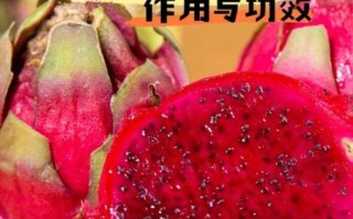 长期吃红心火龙果会怎样_红心火龙果长期吃有什么副作用