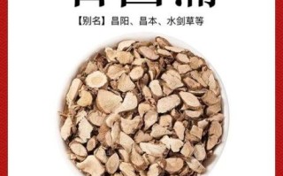 石菖蒲的功效与作用_石菖蒲怎么吃效果最好