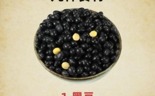 吃什么保养卵巢最好_卵巢保养吃什么食物
